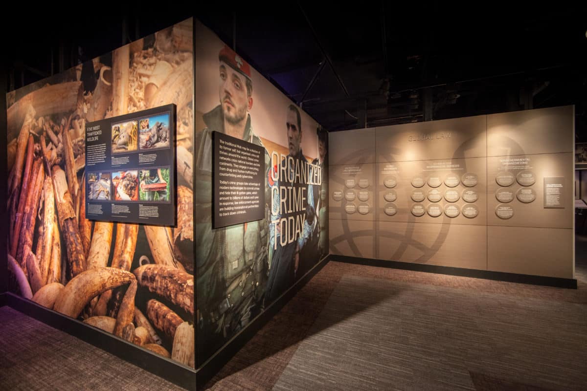 The Mob Museum | Creo