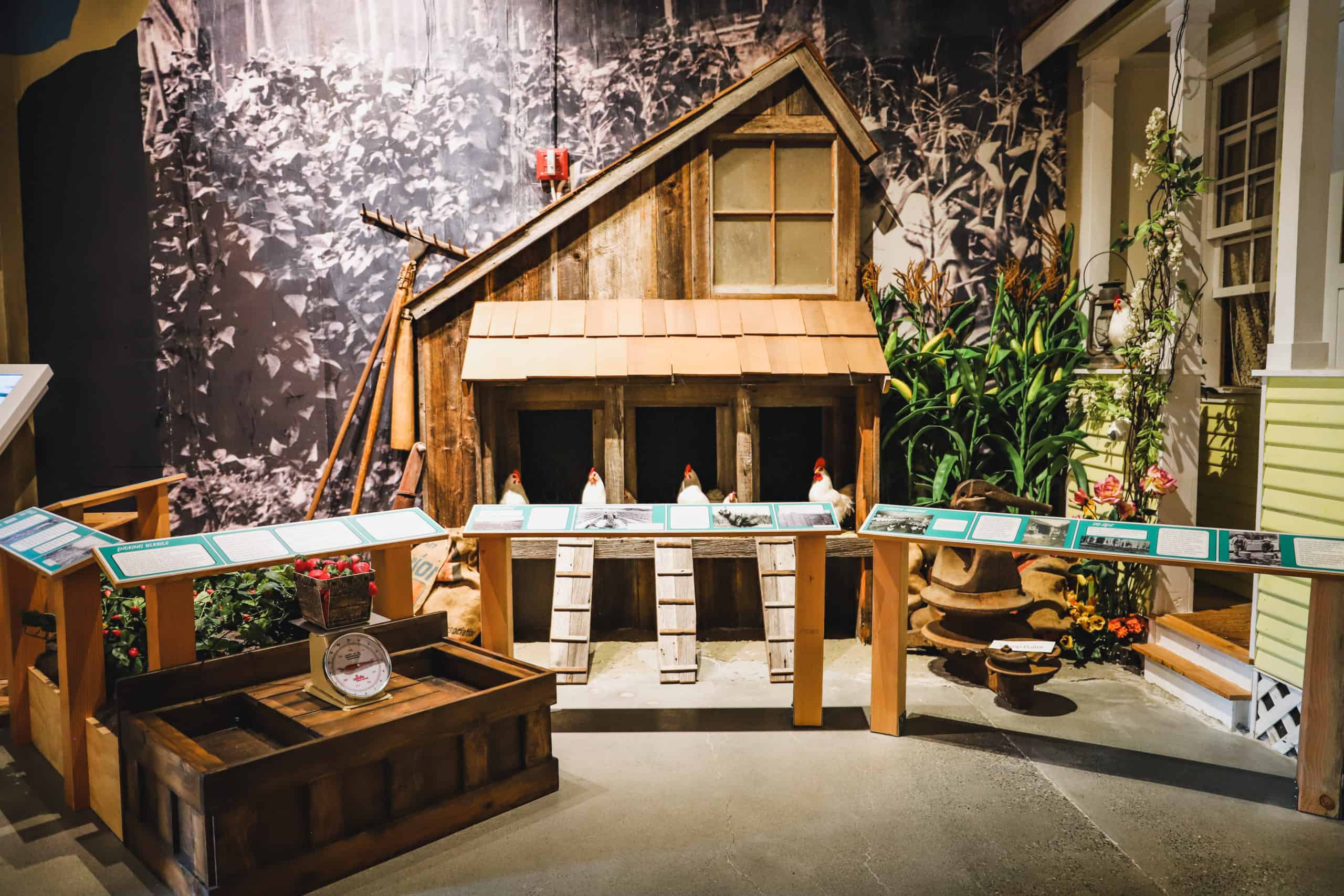 Kitsap History Museum | Creo